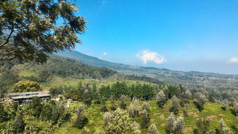 Jakarta Puncak Tour - JakartaPuncakBandung.com